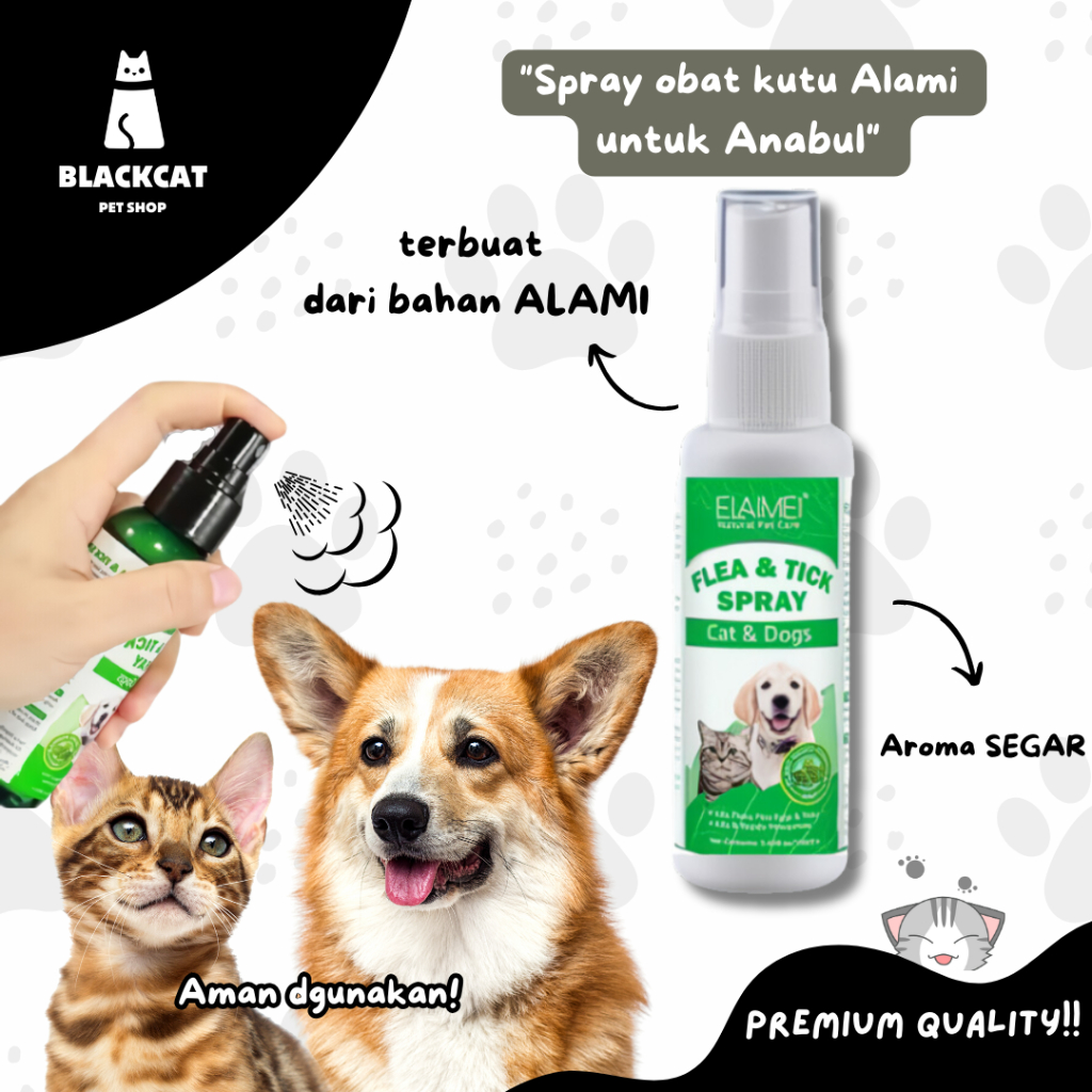 Jual BLACKCAT - Obat Kutu Kucing Semprot Spray Ampuh Herbal Aman ...