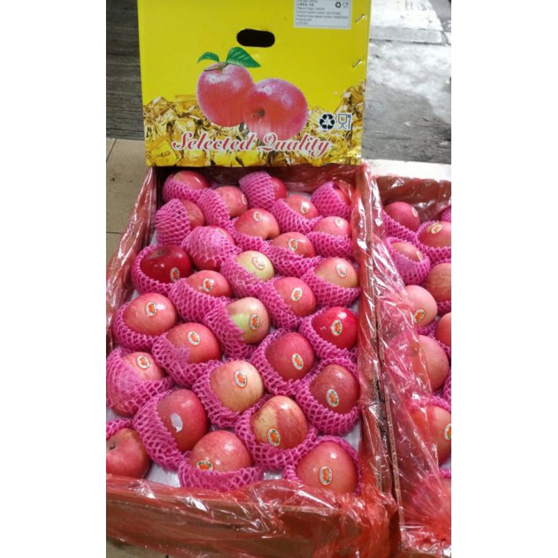Jual Apel Fuji / 1 box | Shopee Indonesia