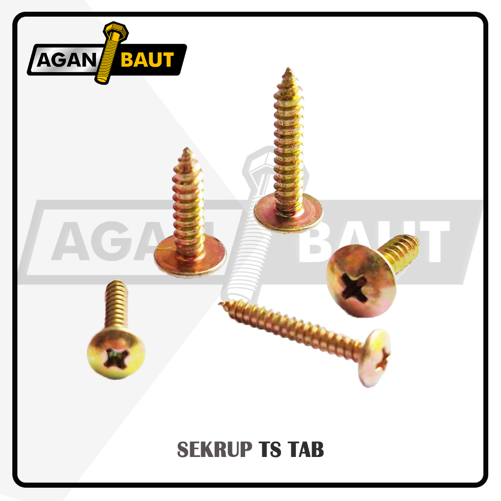 Jual [PER 25 PCS] Sekrup / Skrup TS TAB 10x1/2 (1.27 cm) | Shopee Indonesia