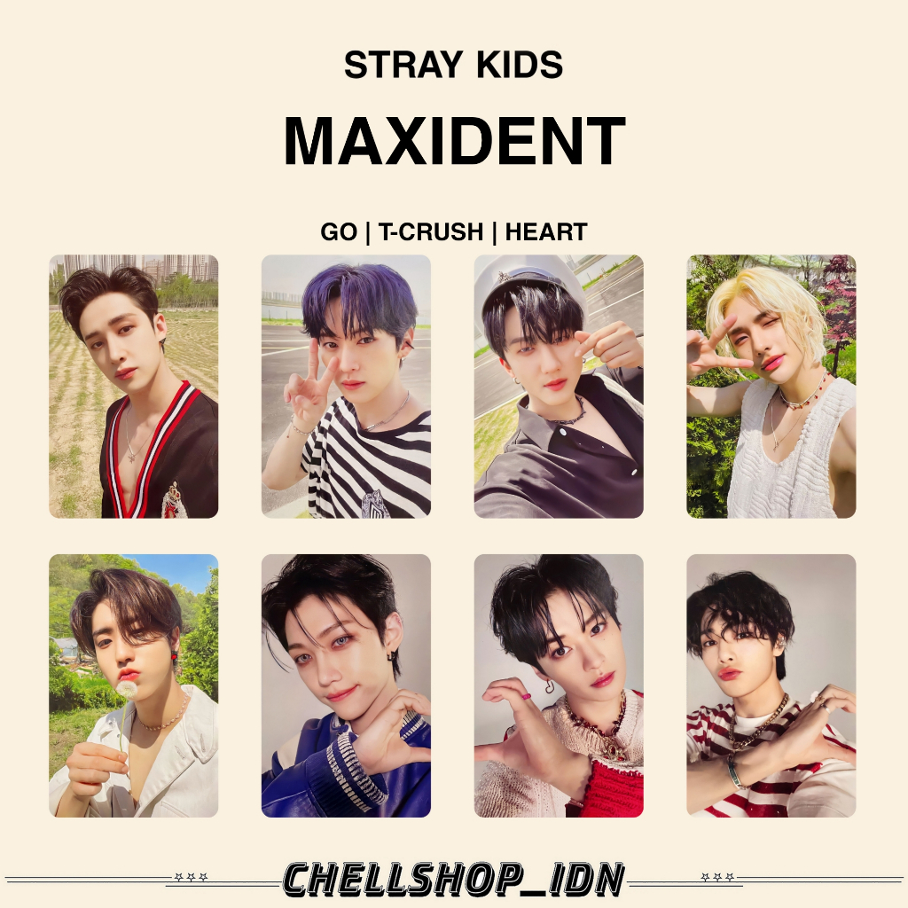 Jual PHOTOCARD MAXIDENT GO | T-CRUSH | HEART | Shopee Indonesia