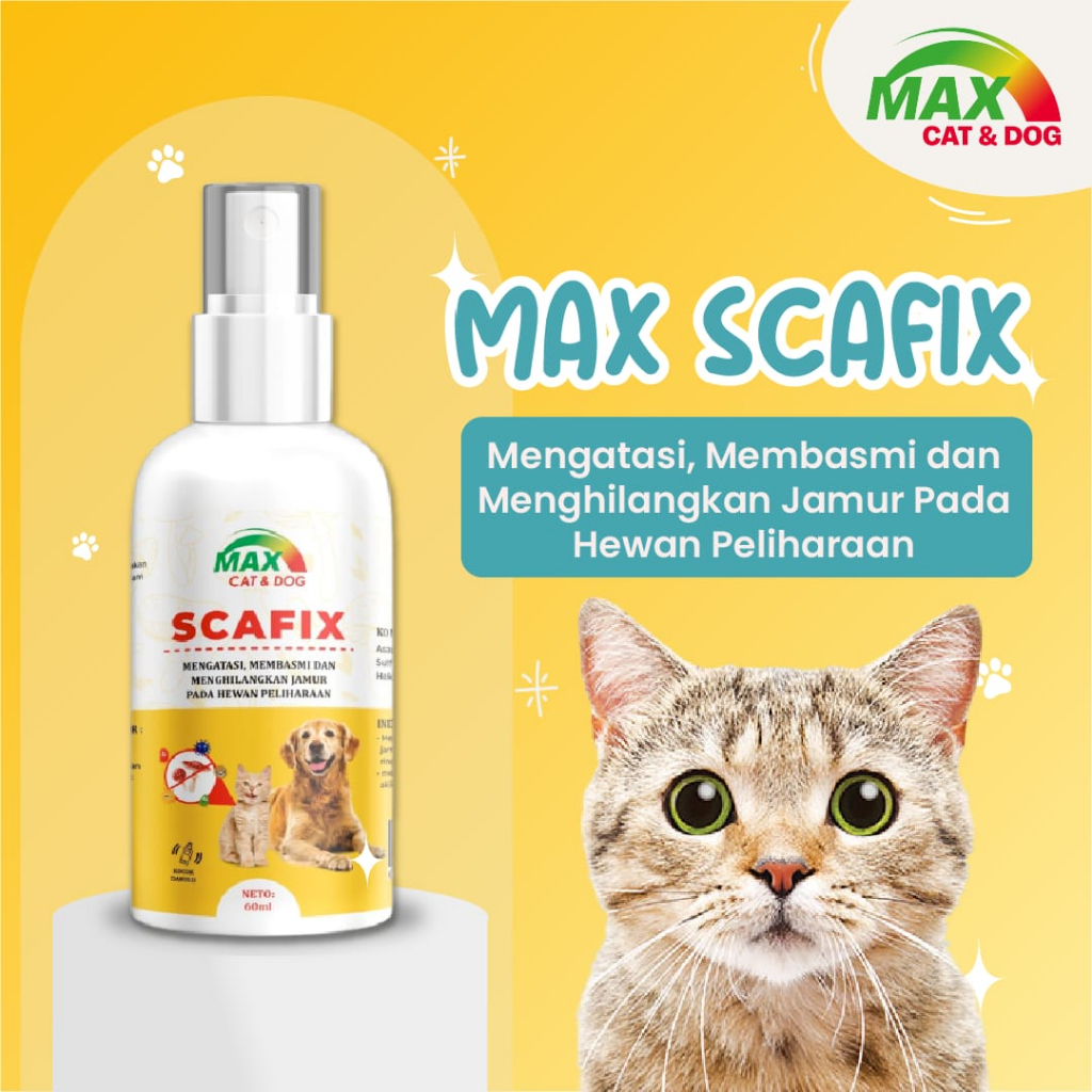 Jual MAX SCAFIX 60mL / Obat Menghilangkan Jamur Untuk Hewan Kucing dan ...