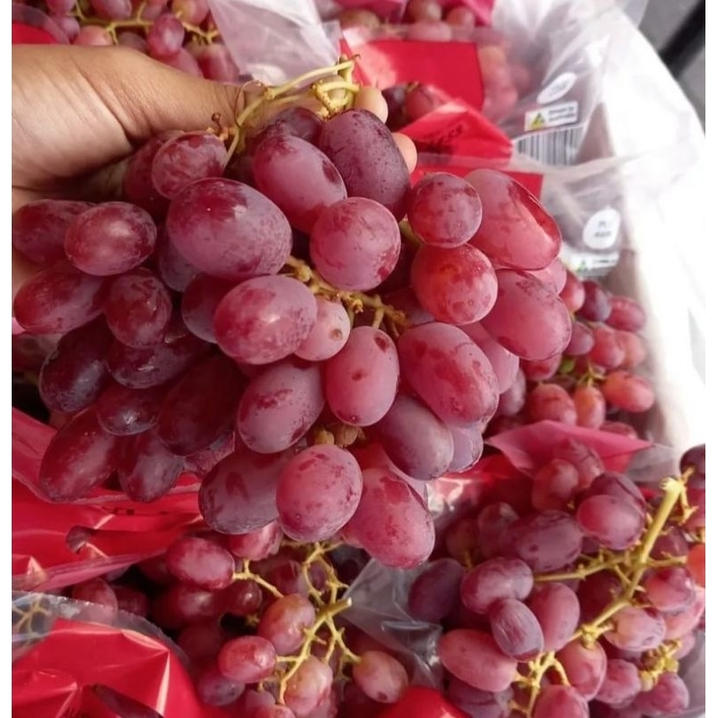 Jual Anggur Merah Crimson Seedless 1Kg | Shopee Indonesia