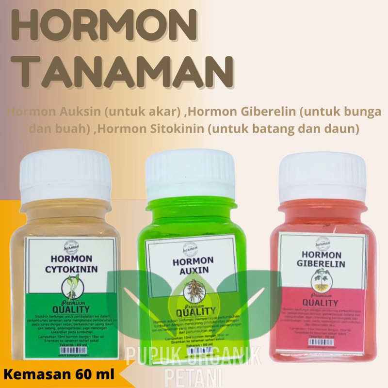 Jual Hormon ZPT Tanaman Hormon Auxsin Giberelin Sitokinin Hormon ...