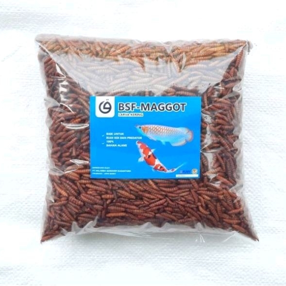 Jual Aslamba Maggot Super Red Blue Yellow Carophyll 1kg Pakan Ikan ...
