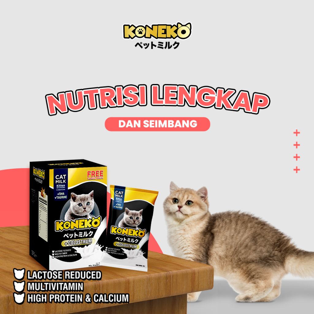 Jual KONEKO Cat Milk/ Susu Kucing 1 Box isi 11 Sachet | Shopee Indonesia