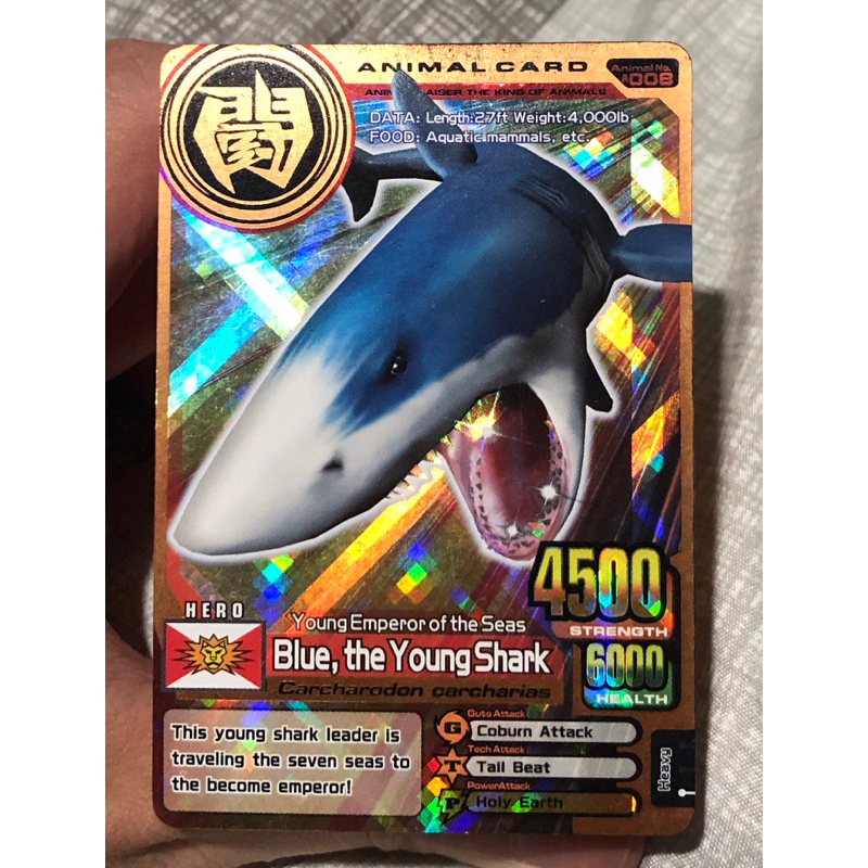 Jual Kartu Animal Kaiser Blue, the Young Shark Ver.1 | Shopee Indonesia