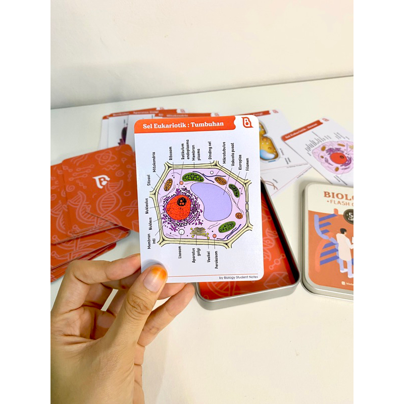 Jual Biology Flashcards Premium Edition by biology student notes ...