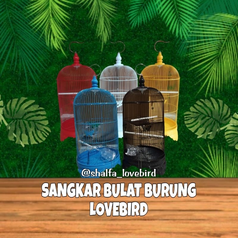 Jual KANDANG BULAT BESI LOVEBIRD | Shopee Indonesia Jual KANDANG BULAT BESI LOVEBIRD | Shopee Indonesia