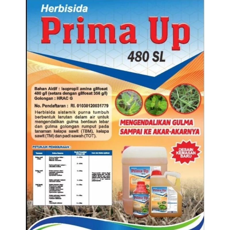 Jual Prima Up 480SL 5 liter - Herbisida Racun Rumput | Shopee Indonesia