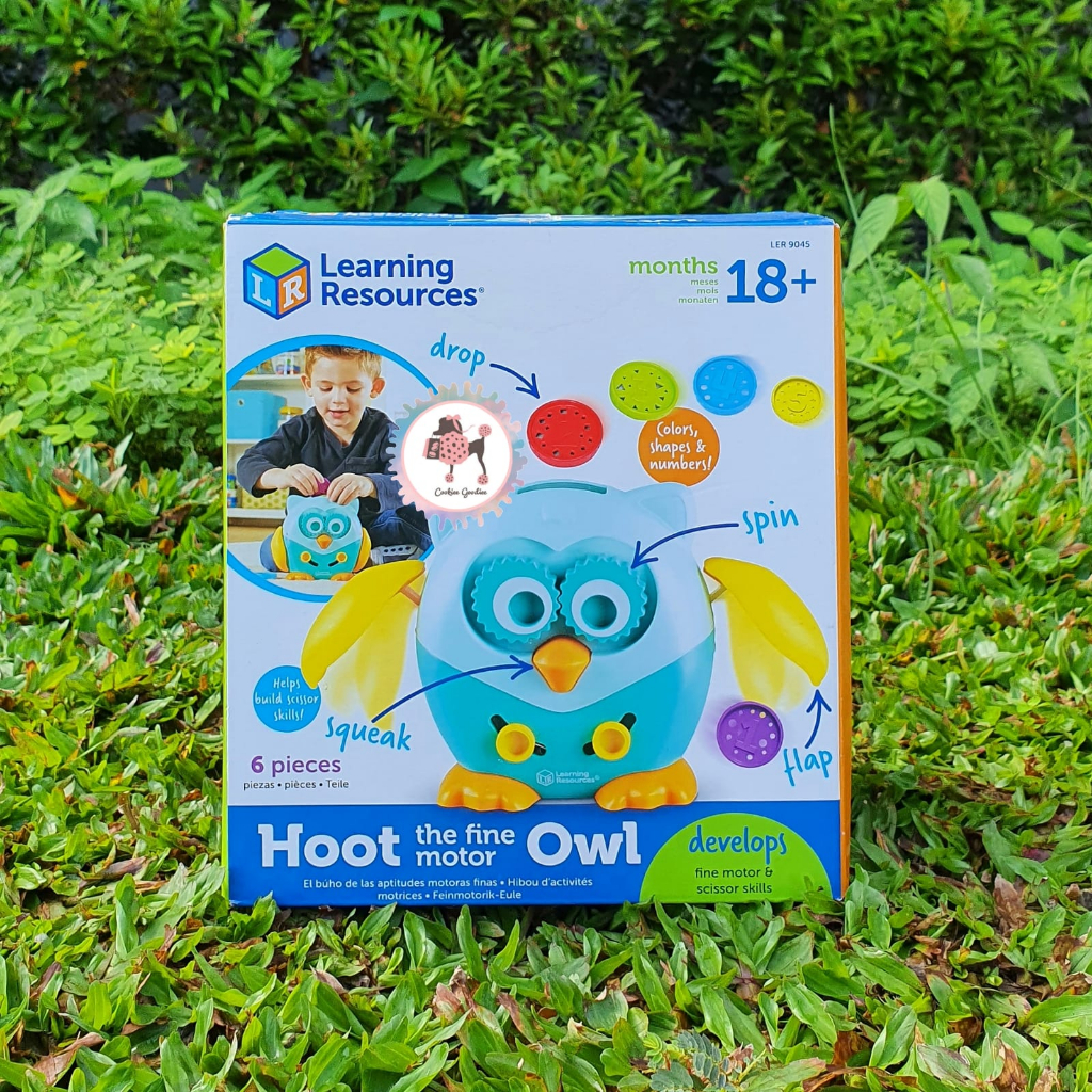 Jual Learning Resources Hoot the Fine Motor Owl | Shopee Indonesia