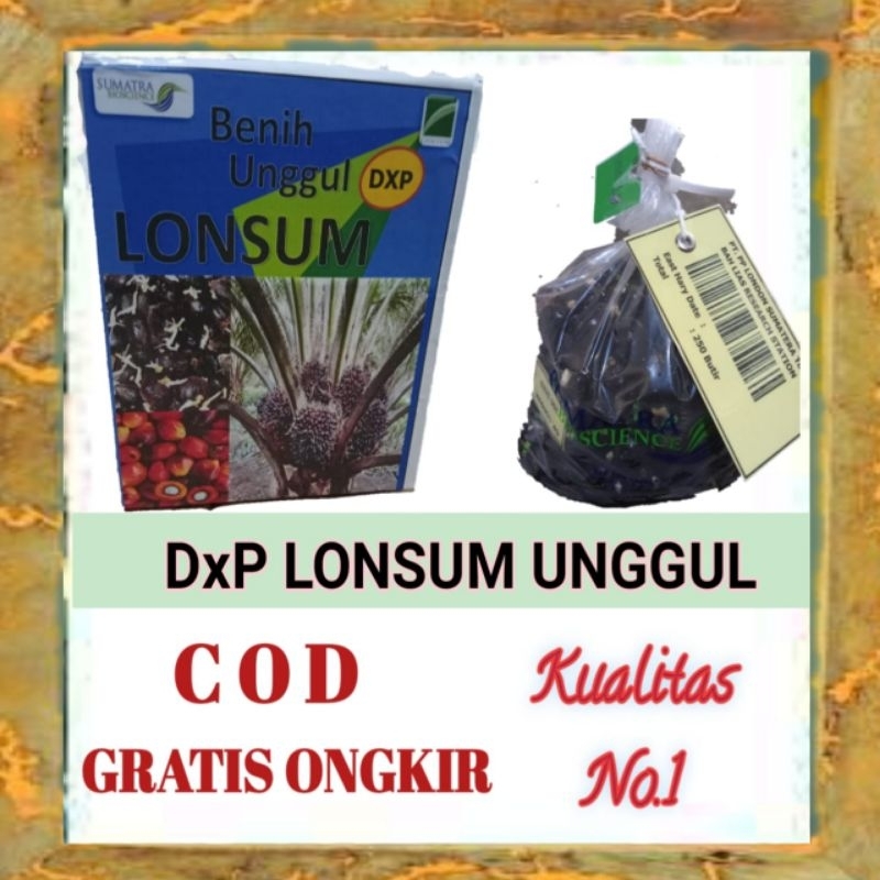 Jual DXP LONSUM UNGGUL PP LONDON SUMATERA BIBIT UNGGUL BERKUALITAS ...