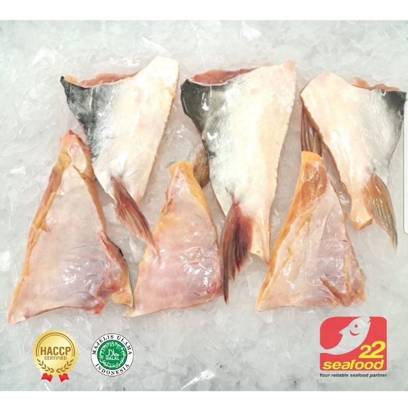 Jual Ikan Patin / Belly Patin 500 gram / Frozen Belly Meat / Seafood 22 ...