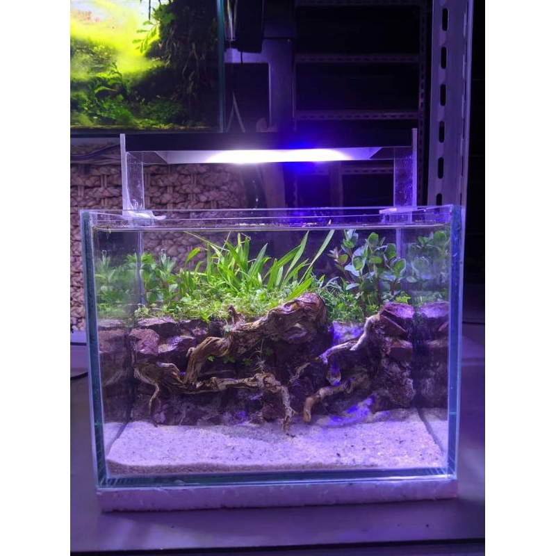 Jual Aquarium Kaca Polos 30cm 35cm 40cm | Shopee Indonesia