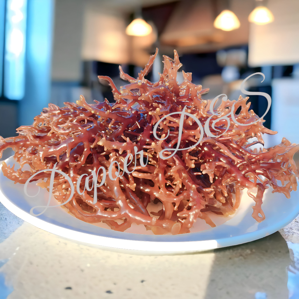 Jual 1 Kg Rumput laut ager laut eucheuma Cottonii gracilaria sp rumput ...