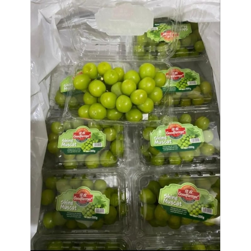 Jual Anggur Shine Muscat Pack Manis tanpa biji | Shopee Indonesia