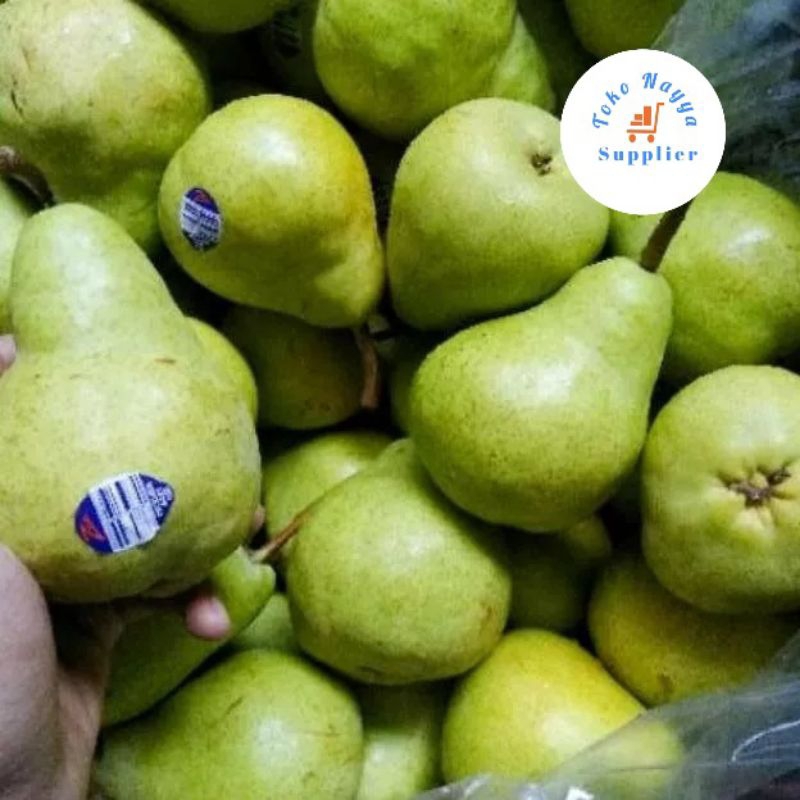 Jual Buah Pear Packham Import USA | Pir Pakam Hijau / Pir Jambu Manis ...