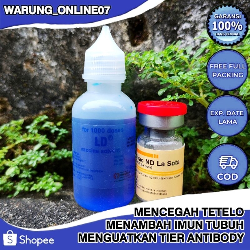 Jual Vaksin ND Lasota Dosis 1000 Ekor Untuk Mencegah Tetelo Aratan Ayam Kecil Dewasa Indukan ...