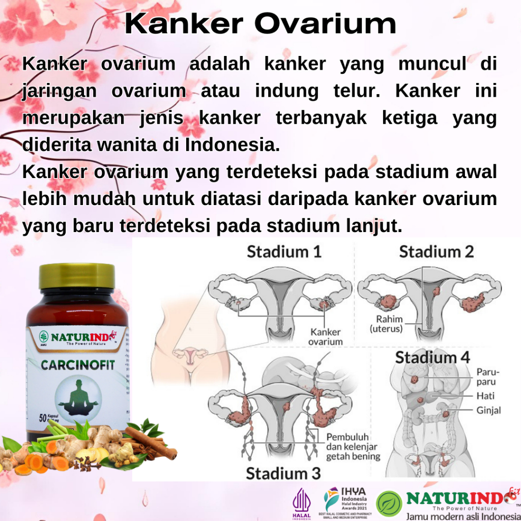 Jual Obat Kanker Ovarium Stadium 1 2 3 4 Nyeri Pendarahan Tumor Herbal ...