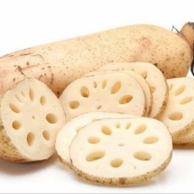 Jual Lotus Root / Akar Teratai / Rengkong Fresh | Shopee Indonesia