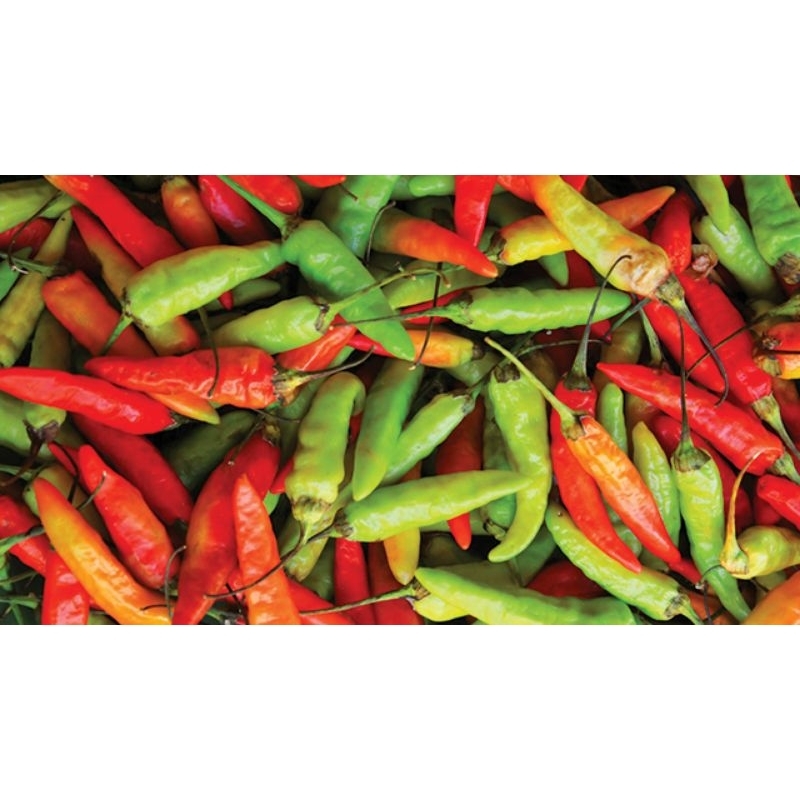 Jual Cabe Rawit Merah 500gram | Shopee Indonesia