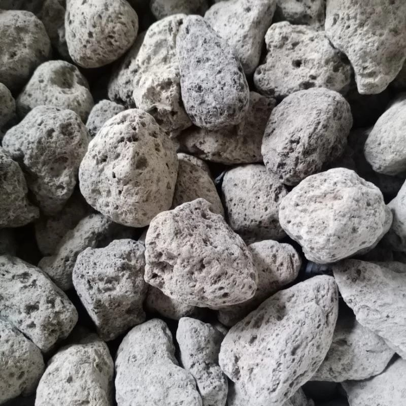 Jual 100gram KARANG JAHE, ZEOLIT, BATU FILTER, BATU APUNG, OYSTER KULIT ...