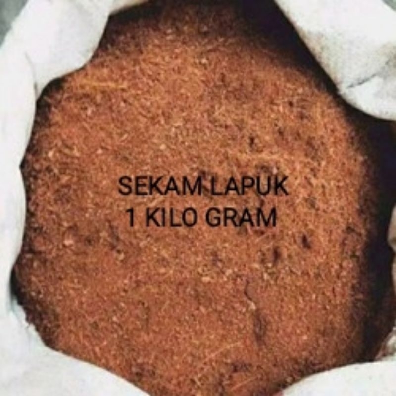 Jual MEDIA TANAM SUPER SUBUR 1KG//SEKAM LAPUK//KULIT PADI PERMENTASI ...