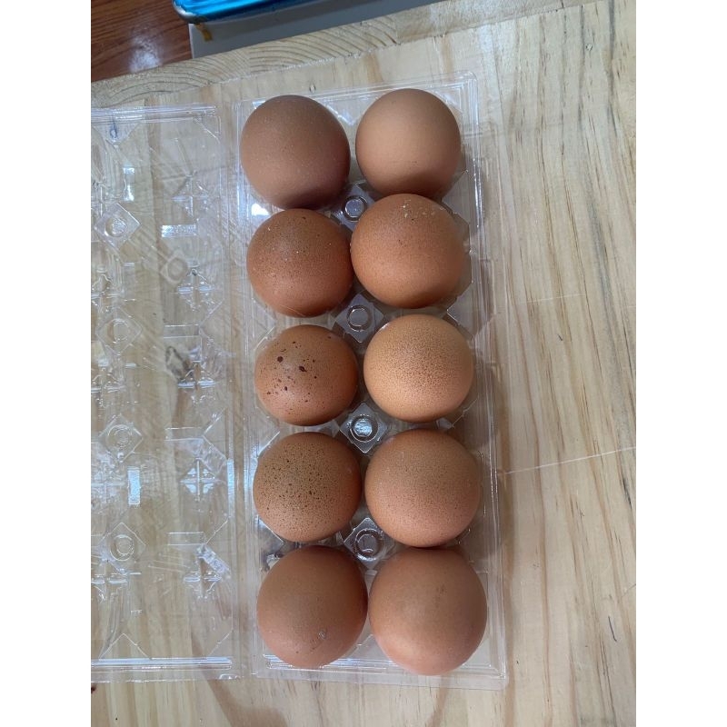 Jual Telur Ayam Negeri Kiloan / Telur ayam Fresh / Telur ayam Murah ...