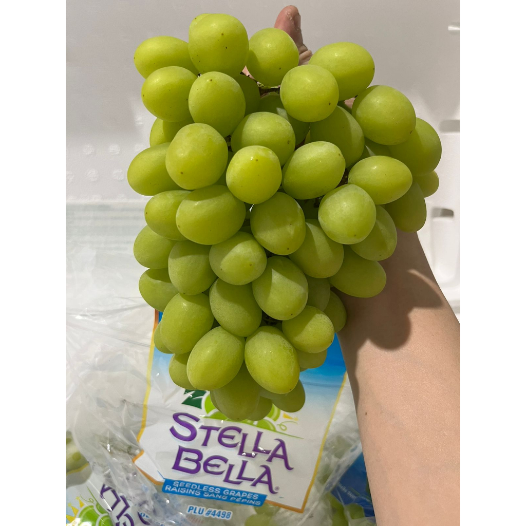Jual Anggur Hijau Stella Bella Green Seedless Grapes USA 500 gr ...