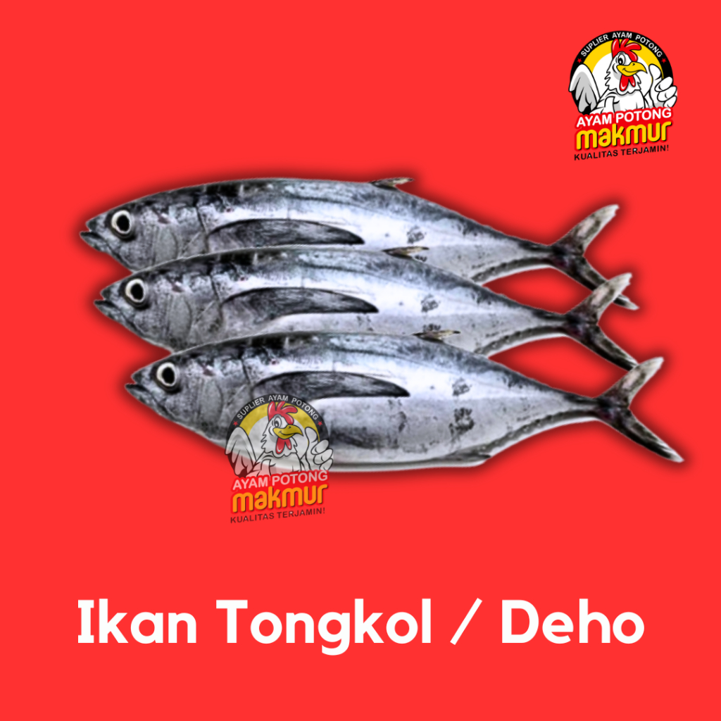 Jual Ikan Tongkol Deho | Shopee Indonesia