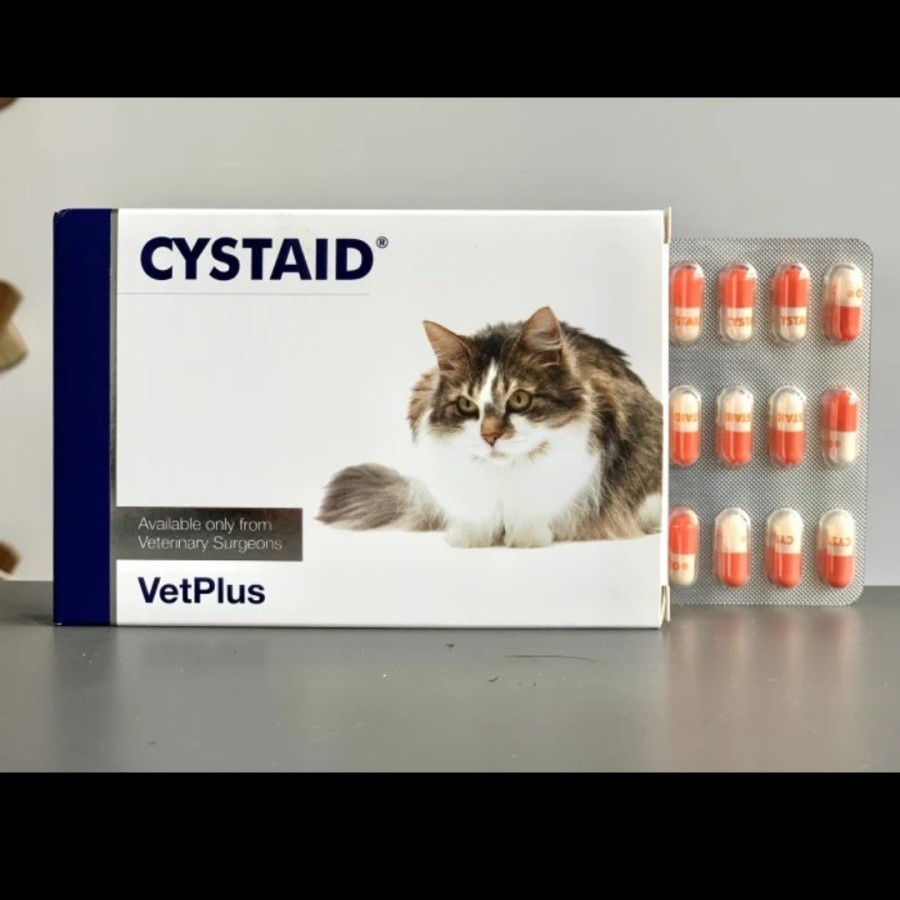 Jual Cystaid Plus Obat Untuk Masalah Saluran Kemih Harga Satu Kapsul ...