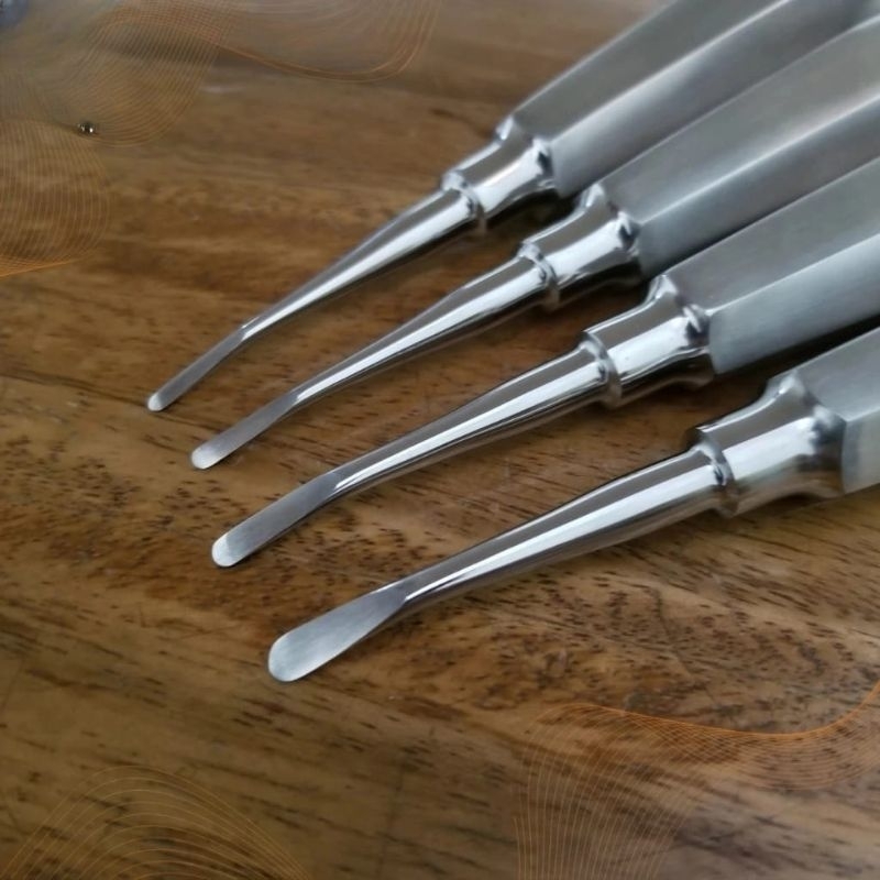 Jual DENTAL BEIN GIGI ROOT ELEVATOR LUXATOR SATUAN | Shopee Indonesia