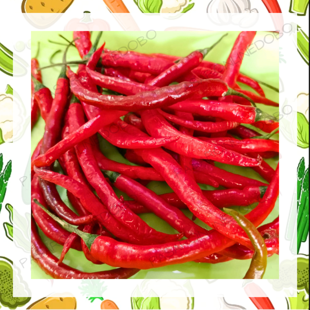 Jual LOMBOK/CABE/CABAI KERITING | Shopee Indonesia