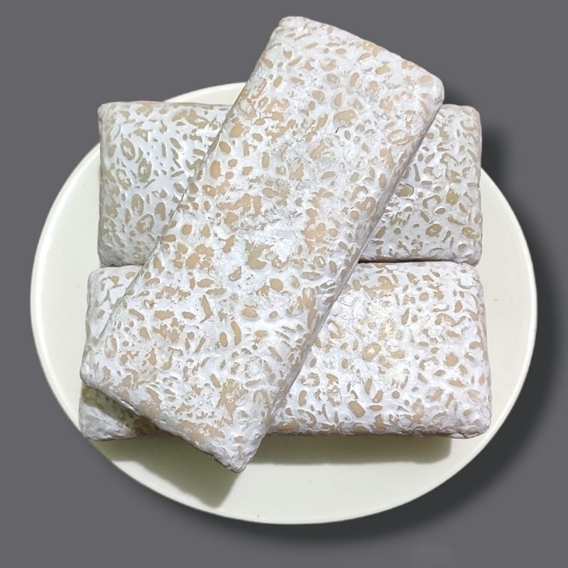 Jual Replika makanan tempe mentah ( 1pcs) /Replika makanan / dummy ...