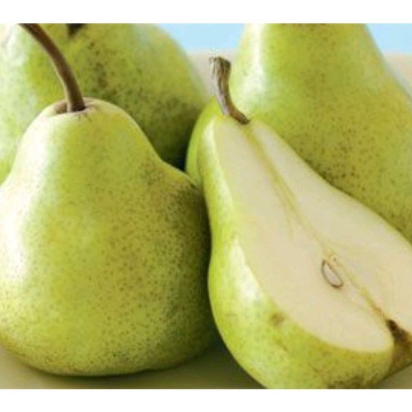 Jual Pear Packham Fresh | Shopee Indonesia