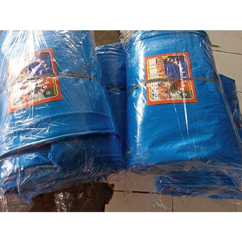 Jual Terpal jadi Montana 6x8 atau 6 x 8 meter | Shopee Indonesia