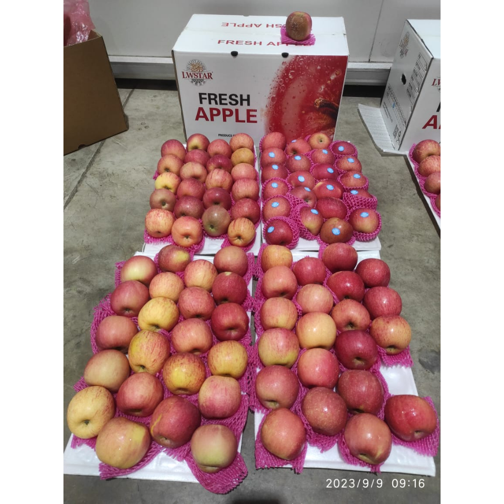 Jual Apel Fuji China (Box) | Shopee Indonesia