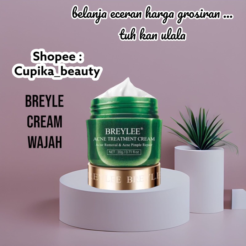 Jual [ub.x] BREYLEE ACNE CREAM WAJAH - BREYLEE CREAM WAJAH PENGHILANG ...