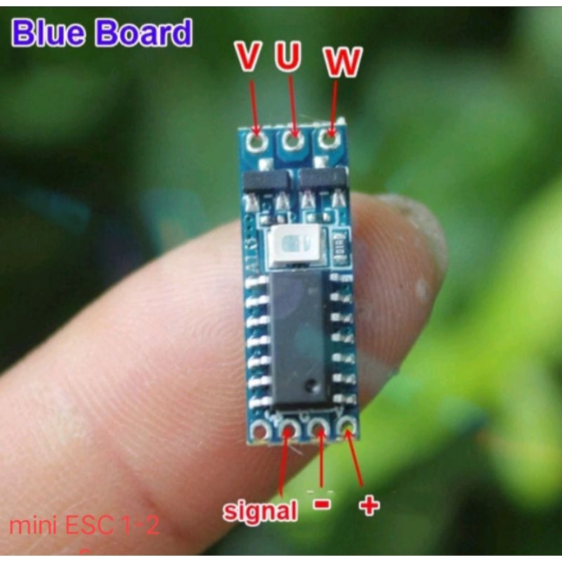 Jual Mini ESC Motor Brushless, Papan Driver 1S-2S 4A, DC Elektrik Mini ...