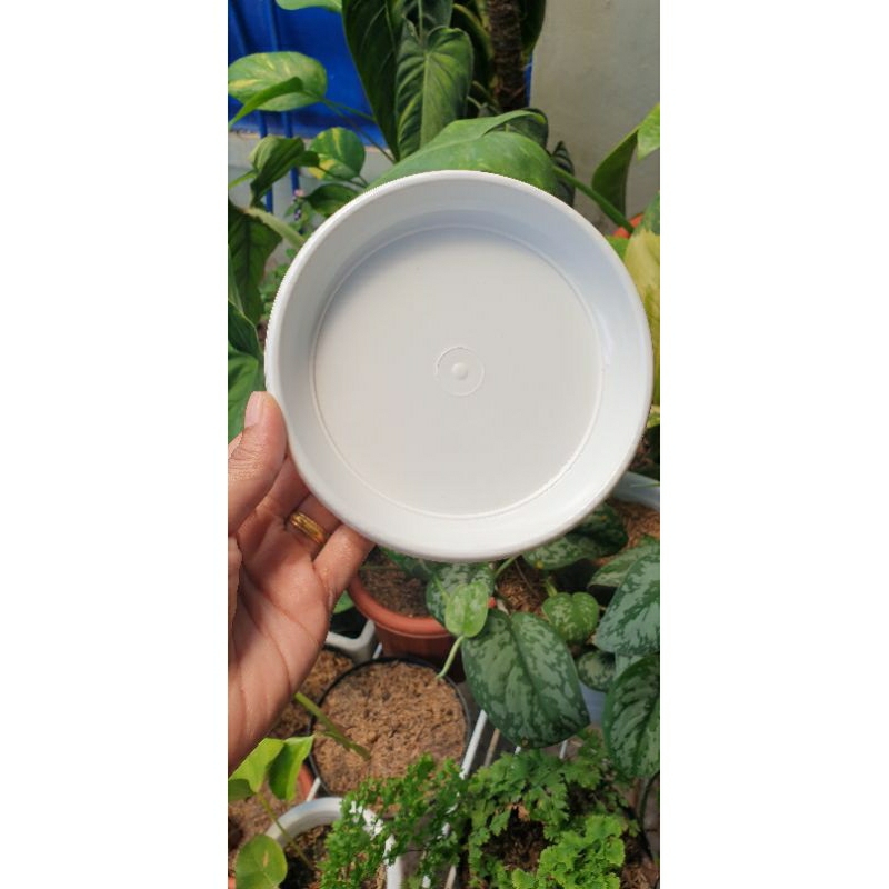 Jual Alas Pot Diameter 12 cm | Shopee Indonesia
