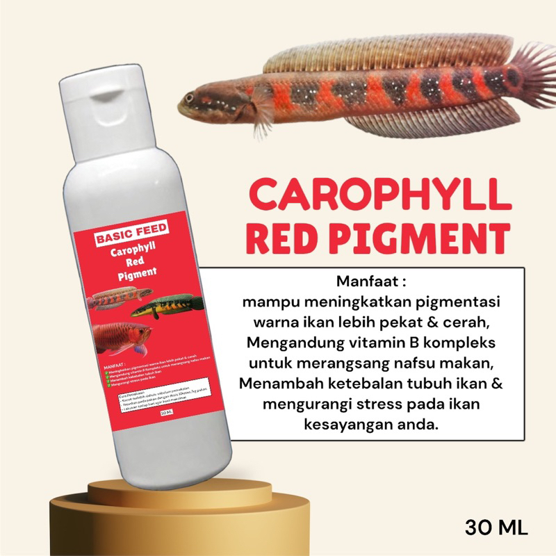 Jual carophyll red pigment 30ml progres mutasi warna ikan channa red ...