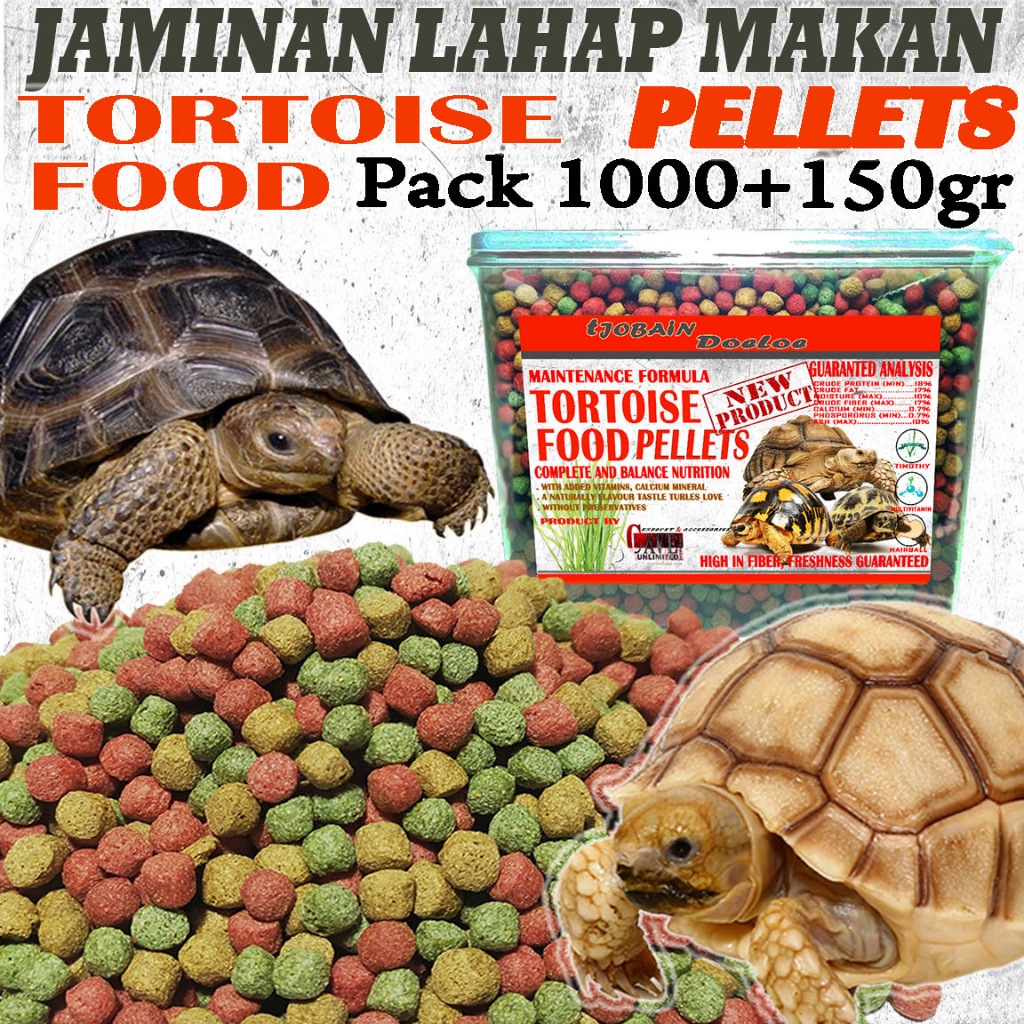 Jual MAKANAN PARDALIS SULCATA PELET KURA DARAT TORTOISE FOOD PAKAN ...