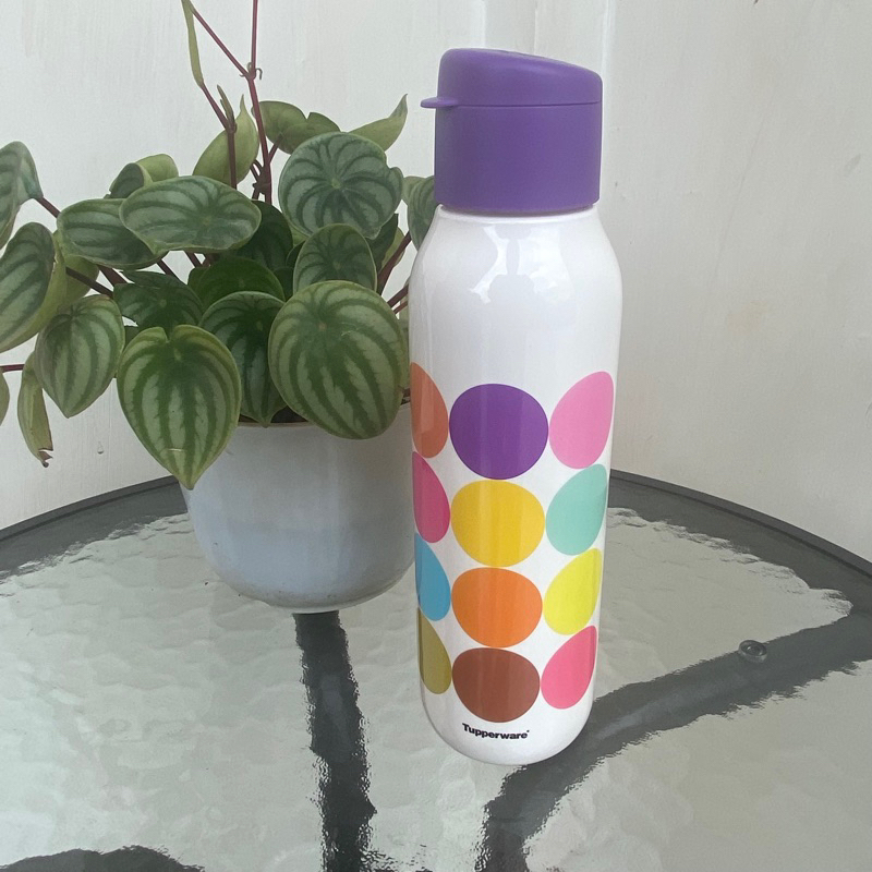 Jual botol Tupperware TERLARIS (FANCY 750ML) | Shopee Indonesia