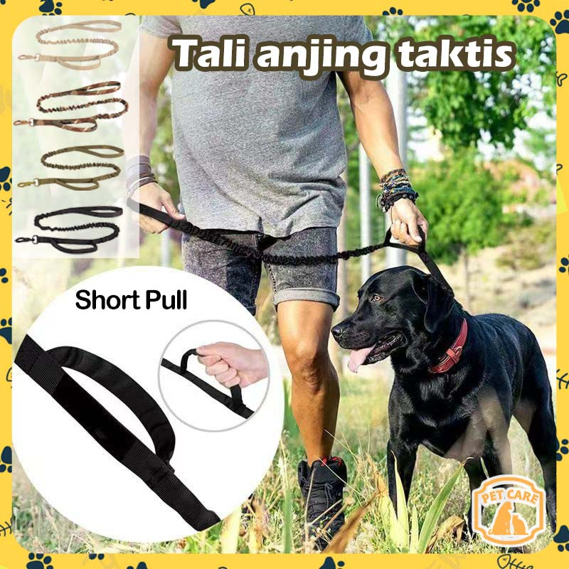 Jual Rantai anjing nylon pet rope dog training leash tali anjing ...