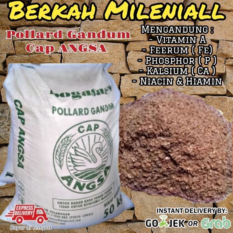 Jual Pollard polar cap angsa kualitas terbaik dikelasnya | Shopee Indonesia