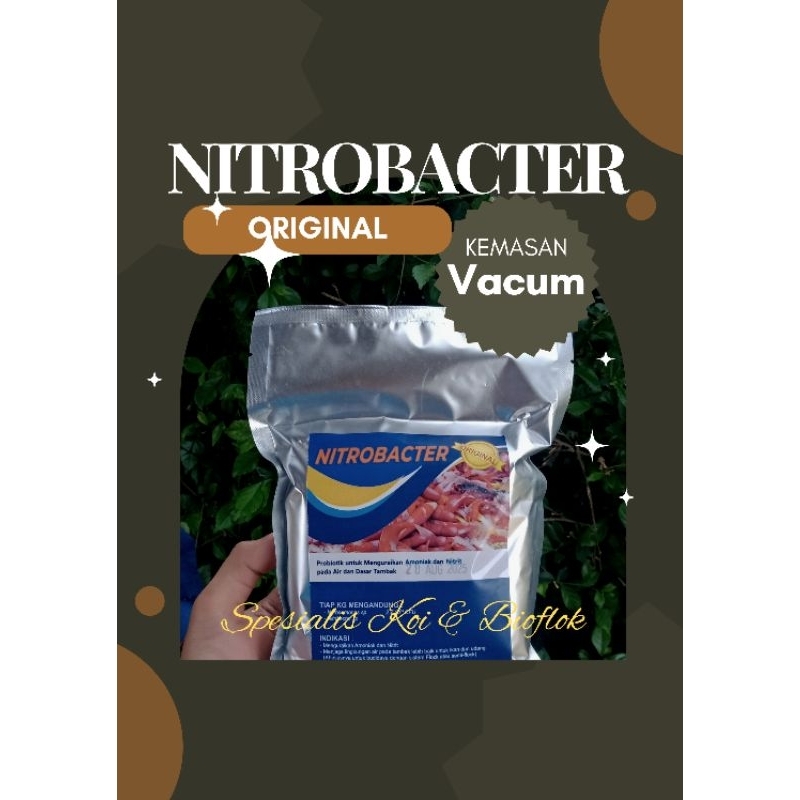 Jual Nitrobac Nitrobacter bakteri starter Probiotik Kolam KOI | Shopee ...