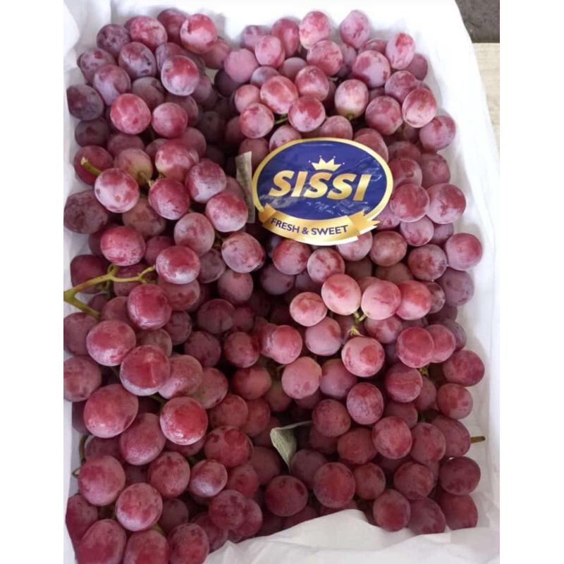 Jual Anggur Red Globe (6.5 KG) Fresh Import | Shopee Indonesia