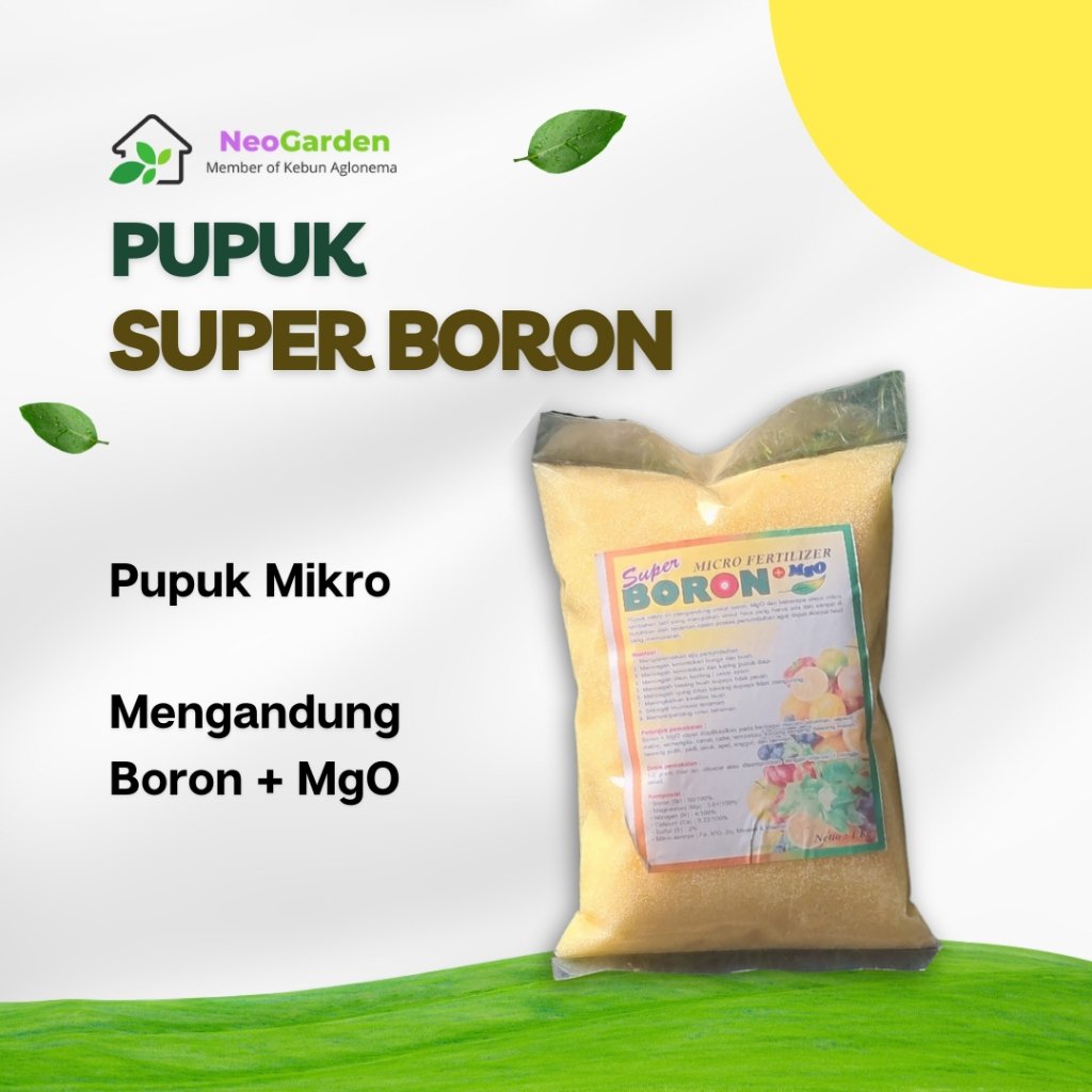 Jual Pupuk SUPER BORON MgO - Kemasan 1KG - Gold Micro Fertilizer ...