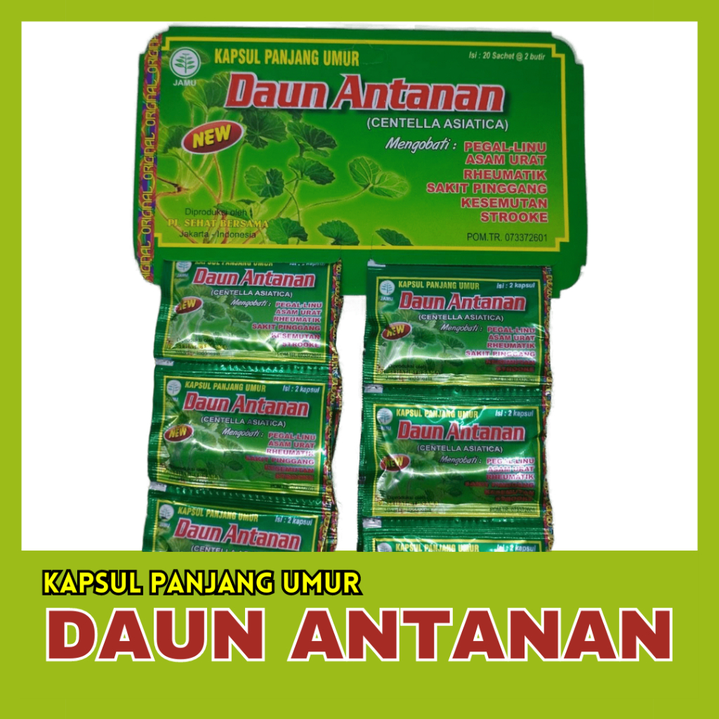 Jual Kapsul Panjang Umur DAUN ANTANAN Pegel Linu Asam Urat Reumatik ...