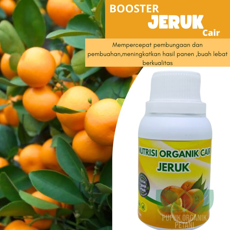 Jual Pupuk Organik Cair Jeruk Agar Cepat Berbuah Tahan Penyakit Tidak ...