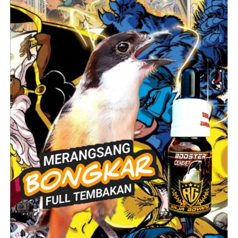 Jual Booster Cendet Penggacor Burung Cendet 100% original Raja Goyang ...